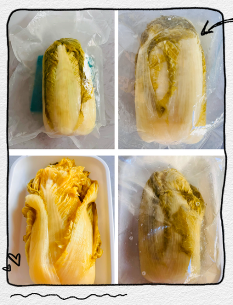 酸白菜怎么腌制_家庭酸白菜腌制方法图解-第3张图片-山城妙识 酸白菜怎么腌制_家庭酸白菜腌制方法图解-第3张图片-山城妙识