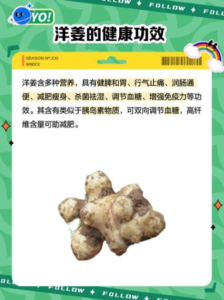 洋姜怎么吃_洋姜的做法大全视频-第2张图片-山城妙识