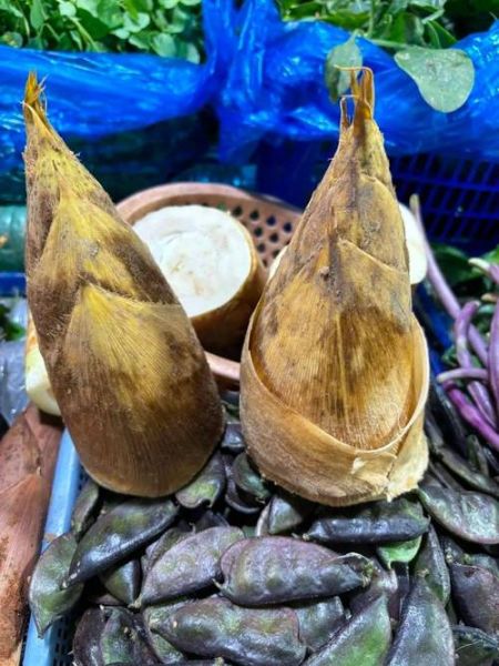 2021冬笋多少钱一斤_冬笋价格为什么涨-第2张图片-山城妙识 2021冬笋多少钱一斤_冬笋价格为什么涨-第2张图片-山城妙识