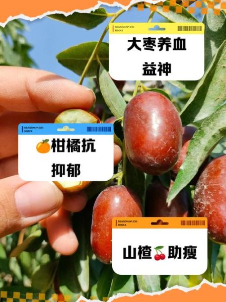 女人更年期怎么调理_更年期吃什么好-第3张图片-山城妙识 女人更年期怎么调理_更年期吃什么好-第3张图片-山城妙识