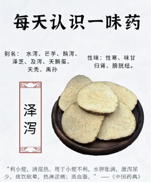 泽泻的功效与作用_泽泻能长期吃吗-第1张图片-山城妙识