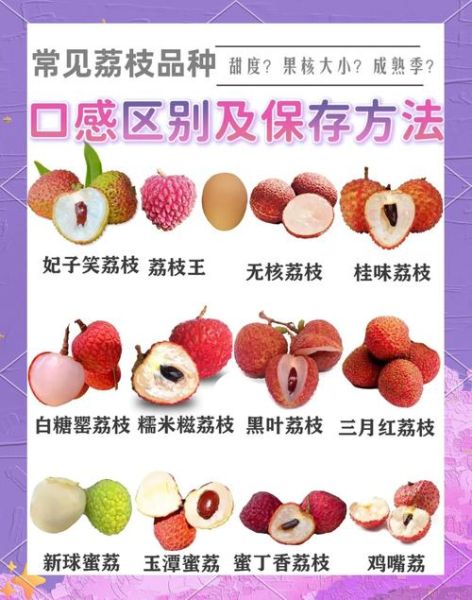 荔枝的功效与作用_荔枝吃多了会上火吗-第2张图片-山城妙识