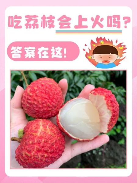 荔枝的功效与作用_荔枝吃多了会上火吗-第1张图片-山城妙识