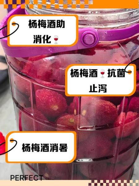 喝杨梅酒的功效与作用_杨梅酒能减肥吗-第2张图片-山城妙识 喝杨梅酒的功效与作用_杨梅酒能减肥吗-第2张图片-山城妙识