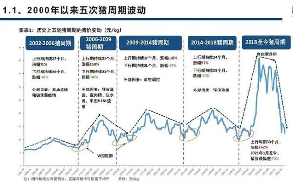 猪肉价格年底会大涨吗_2024年猪价走势预测-第2张图片-山城妙识 猪肉价格年底会大涨吗_2024年猪价走势预测-第2张图片-山城妙识