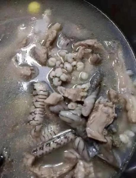 海蛇的功效与作用_海蛇怎么吃效果最好-第3张图片-山城妙识 海蛇的功效与作用_海蛇怎么吃效果最好-第3张图片-山城妙识