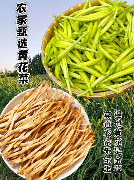 冻黄花菜怎么做好吃_冻黄花菜的家常做法-第3张图片-山城妙识