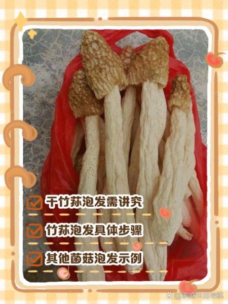 干竹荪蛋怎么泡发_干竹荪蛋不能和什么一起吃-第1张图片-山城妙识 干竹荪蛋怎么泡发_干竹荪蛋不能和什么一起吃-第1张图片-山城妙识