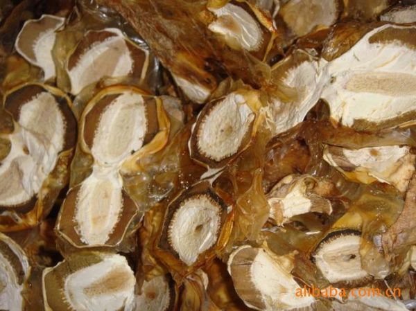 干竹荪蛋怎么泡发_干竹荪蛋不能和什么一起吃-第2张图片-山城妙识 干竹荪蛋怎么泡发_干竹荪蛋不能和什么一起吃-第2张图片-山城妙识