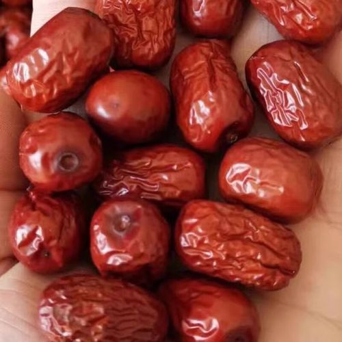 沧州金丝小枣哪里买最正宗_沧州金丝小枣多少钱一斤-第3张图片-山城妙识