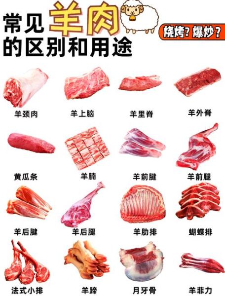 烤羊肉串用羊哪个部位的肉最好_羊腿肉还是羊肩肉-第1张图片-山城妙识 烤羊肉串用羊哪个部位的肉最好_羊腿肉还是羊肩肉-第1张图片-山城妙识