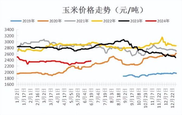 2021年6月玉米价格走势_为什么上涨-第2张图片-山城妙识