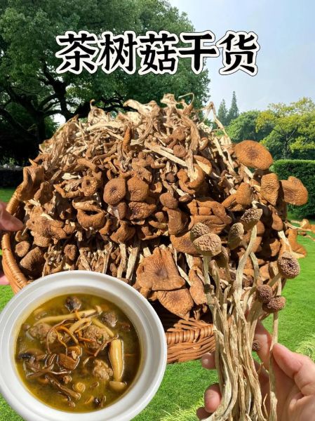 干的茶树菇怎么做好吃_干茶树菇泡发技巧-第1张图片-山城妙识 干的茶树菇怎么做好吃_干茶树菇泡发技巧-第1张图片-山城妙识