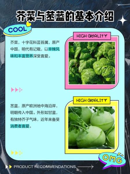 苤蓝是什么菜_苤蓝和芥蓝头区别-第1张图片-山城妙识
