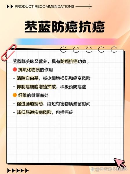 苤蓝是什么菜_苤蓝和芥蓝头区别-第3张图片-山城妙识