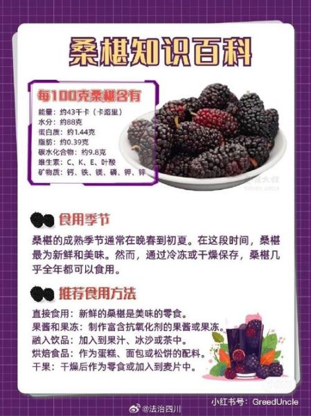 桑葚子怎么吃_桑葚子一天吃多少合适-第2张图片-山城妙识