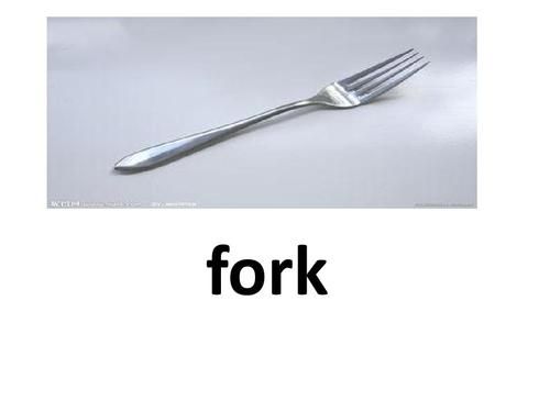 what_is_fork_in_programming_fork_system_call_example-第3张图片-山城妙识