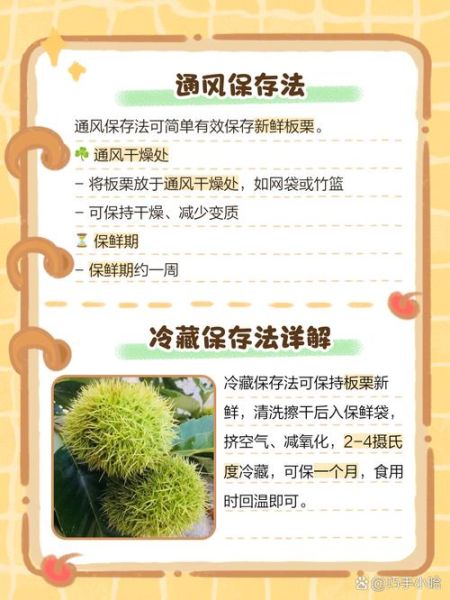 板栗保存冷冻还是冷藏_板栗怎么保存时间最长-第3张图片-山城妙识 板栗保存冷冻还是冷藏_板栗怎么保存时间最长-第3张图片-山城妙识