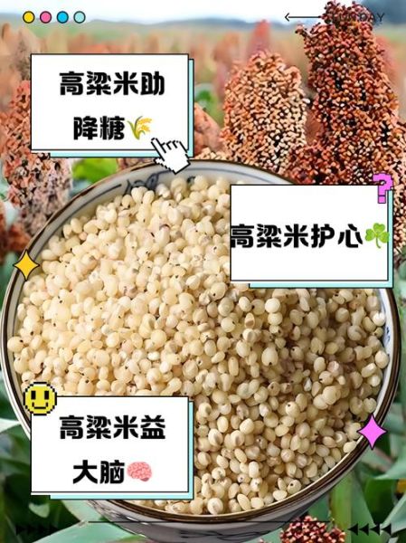 高粱米不能和什么米搭配_哪些米一起吃会伤胃-第1张图片-山城妙识 高粱米不能和什么米搭配_哪些米一起吃会伤胃-第1张图片-山城妙识