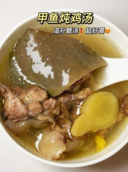 甲鱼煲汤放什么材料_甲鱼汤怎么炖最补-第1张图片-山城妙识 甲鱼煲汤放什么材料_甲鱼汤怎么炖最补-第1张图片-山城妙识