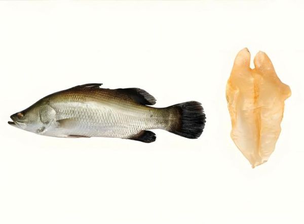 黄花鱼胶多少钱一斤_如何挑选性价比高的黄花鱼胶-第3张图片-山城妙识 黄花鱼胶多少钱一斤_如何挑选性价比高的黄花鱼胶-第3张图片-山城妙识