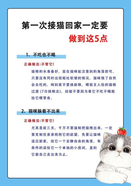 新手养猫准备什么_猫咪到家第一天怎么做-第3张图片-山城妙识