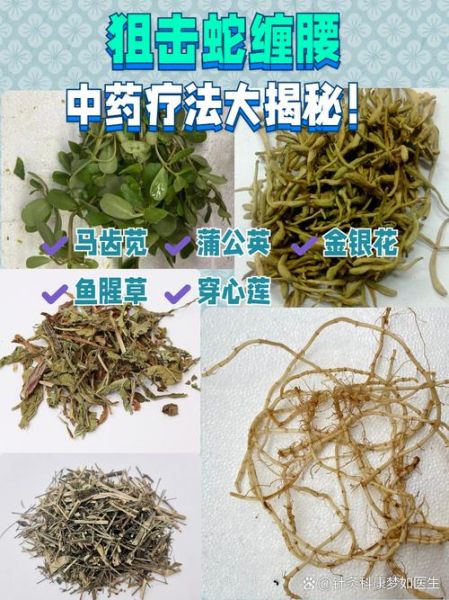 治蛇缠腰的草药克星_民间偏方真的有用吗-第2张图片-山城妙识 治蛇缠腰的草药克星_民间偏方真的有用吗-第2张图片-山城妙识