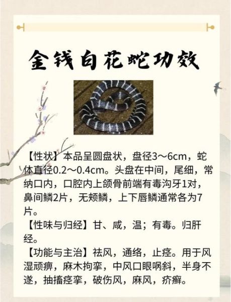 治蛇缠腰的草药克星_民间偏方真的有用吗-第1张图片-山城妙识 治蛇缠腰的草药克星_民间偏方真的有用吗-第1张图片-山城妙识