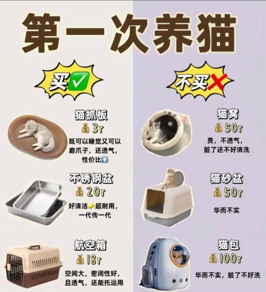 新手养猫准备什么_猫咪到家第一天怎么做-第1张图片-山城妙识
