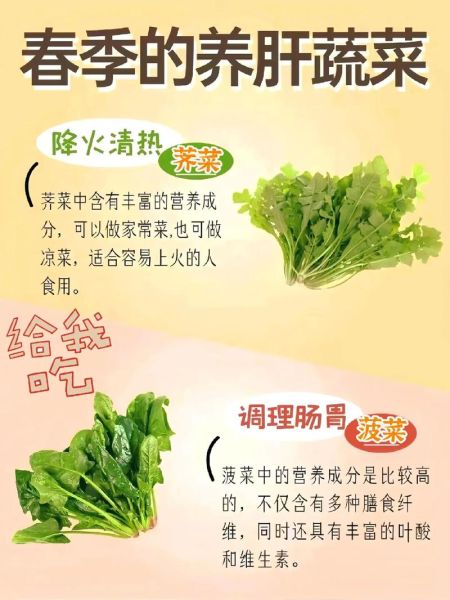 最养肝护肝的蔬菜有哪些_怎么吃效果最好-第3张图片-山城妙识