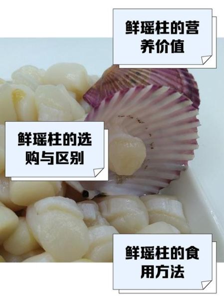 瑶柱不能和什么一起吃_吃瑶柱的禁忌人群-第2张图片-山城妙识