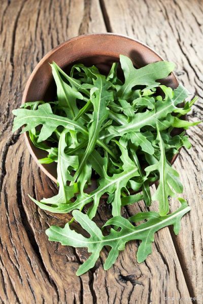 火麻草的功效与作用_火麻草怎么使用-第3张图片-山城妙识