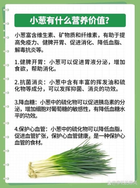 葱的功效与作用_葱的禁忌有哪些-第1张图片-山城妙识