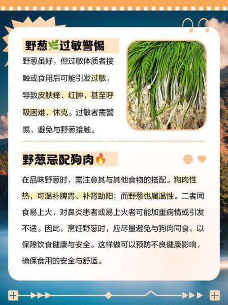 葱的功效与作用_葱的禁忌有哪些-第2张图片-山城妙识