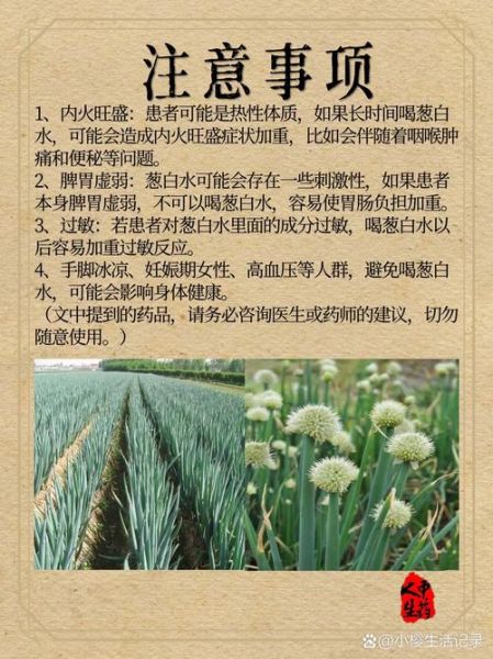 葱的功效与作用_葱的禁忌有哪些-第3张图片-山城妙识