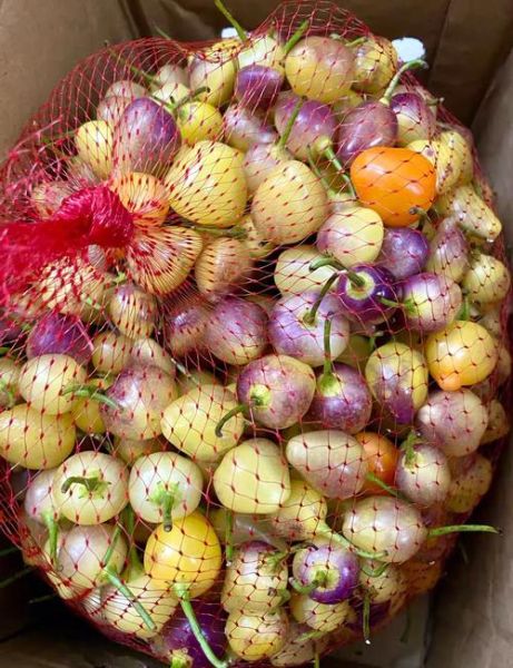 灯笼椒图片_灯笼椒怎么挑选-第1张图片-山城妙识