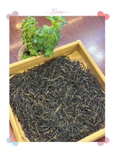 松针茶的功效与作用_松针茶怎么喝才有效-第2张图片-山城妙识