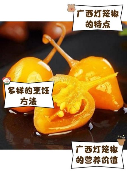 灯笼椒图片_灯笼椒怎么挑选-第3张图片-山城妙识
