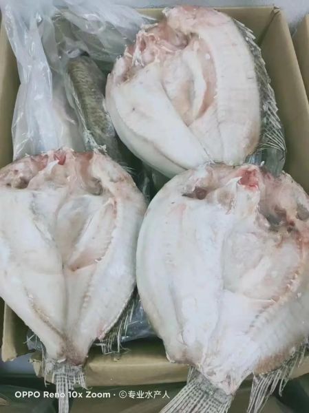 冻鲷鱼片怎么做好吃_冻鲷鱼片的家常做法-第1张图片-山城妙识 冻鲷鱼片怎么做好吃_冻鲷鱼片的家常做法-第1张图片-山城妙识