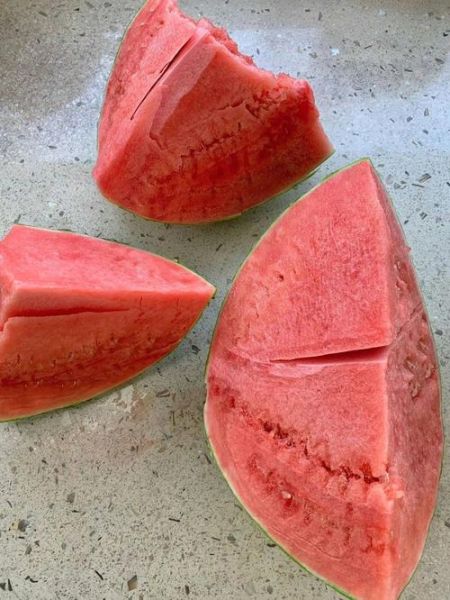 西瓜皮可以壮阳吗_西瓜皮壮阳是真的吗-第2张图片-山城妙识