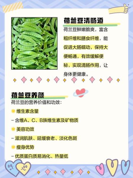 荷兰豆的功效与作用_荷兰豆怎么吃最营养-第1张图片-山城妙识
