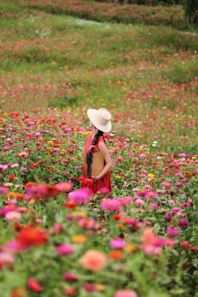 花海图片怎么拍_花海图片适合什么季节-第1张图片-山城妙识