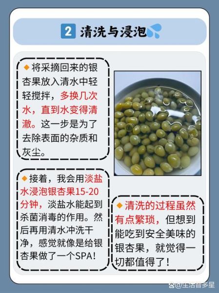 银杏果怎么处理才能吃_银杏果去毒方法-第1张图片-山城妙识