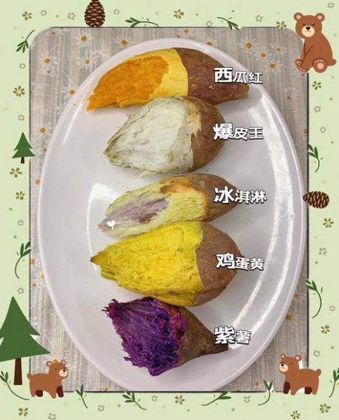 番薯发芽能吃吗_番薯发芽怎么处理-第2张图片-山城妙识