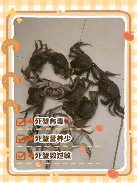 螃蟹死了一晚上还能吃吗_如何判断死蟹是否变质-第3张图片-山城妙识