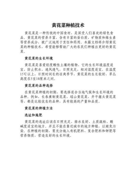 黄花菜怎么种_黄花菜种植技术视频-第1张图片-山城妙识 黄花菜怎么种_黄花菜种植技术视频-第1张图片-山城妙识