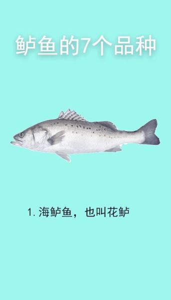 鲈怎么读_鲈鱼拼音是什么-第1张图片-山城妙识