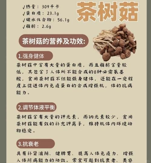 新鲜茶树菇的功效与作用_茶树菇怎么吃最营养-第1张图片-山城妙识