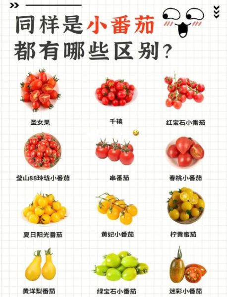 番茄有减肥的作用吗_番茄怎么吃减肥最快-第1张图片-山城妙识