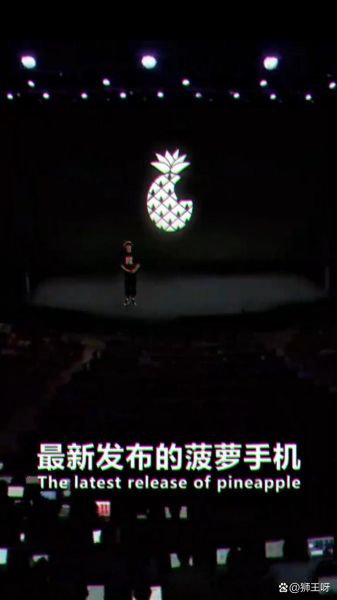 菠萝手机多少钱一台_菠萝手机价格表-第1张图片-山城妙识 菠萝手机多少钱一台_菠萝手机价格表-第1张图片-山城妙识